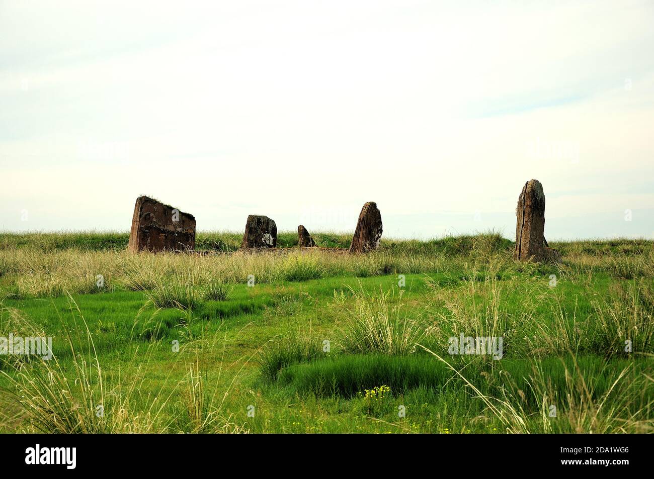Remains of stone walls in the endless steppe overgrown with tall grass ...