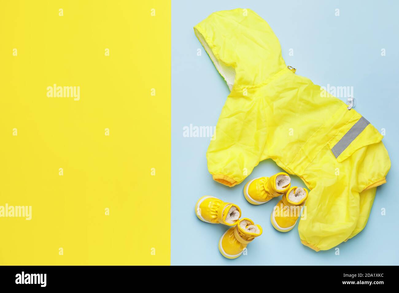 Set of pet accessories on color background Stock Photo - Alamy