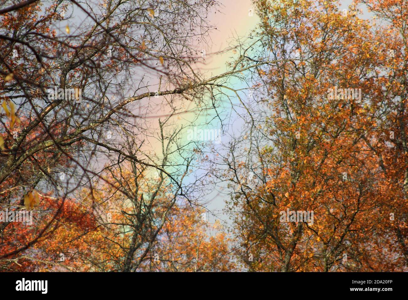 Rainbow filter hi-res stock photography and images - Alamy