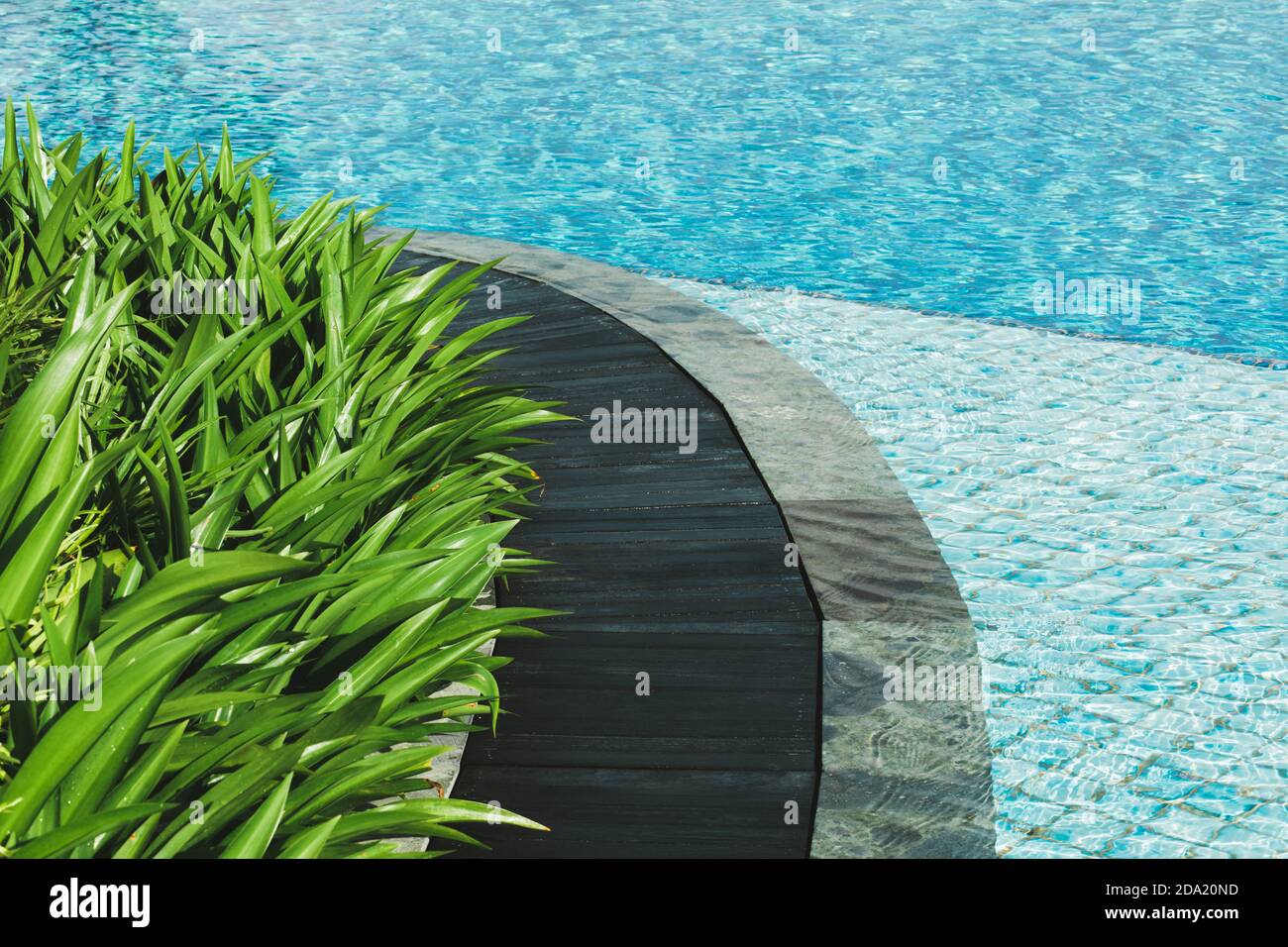 Edge of swimming pool with wooden path way, stone tile, green leaves ...