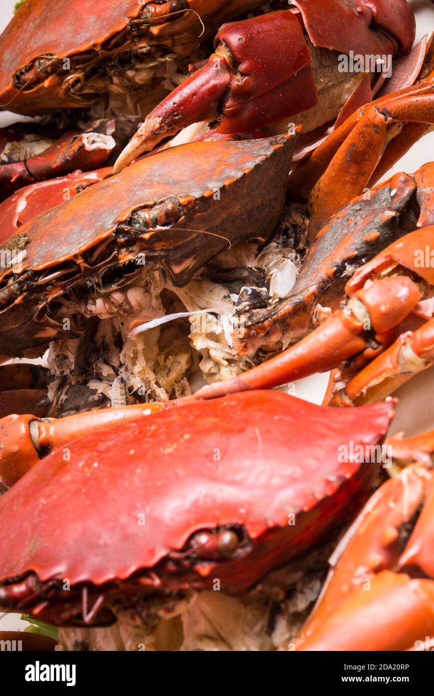 Thai style steamed red crab in shell Stock Photo - Alamy