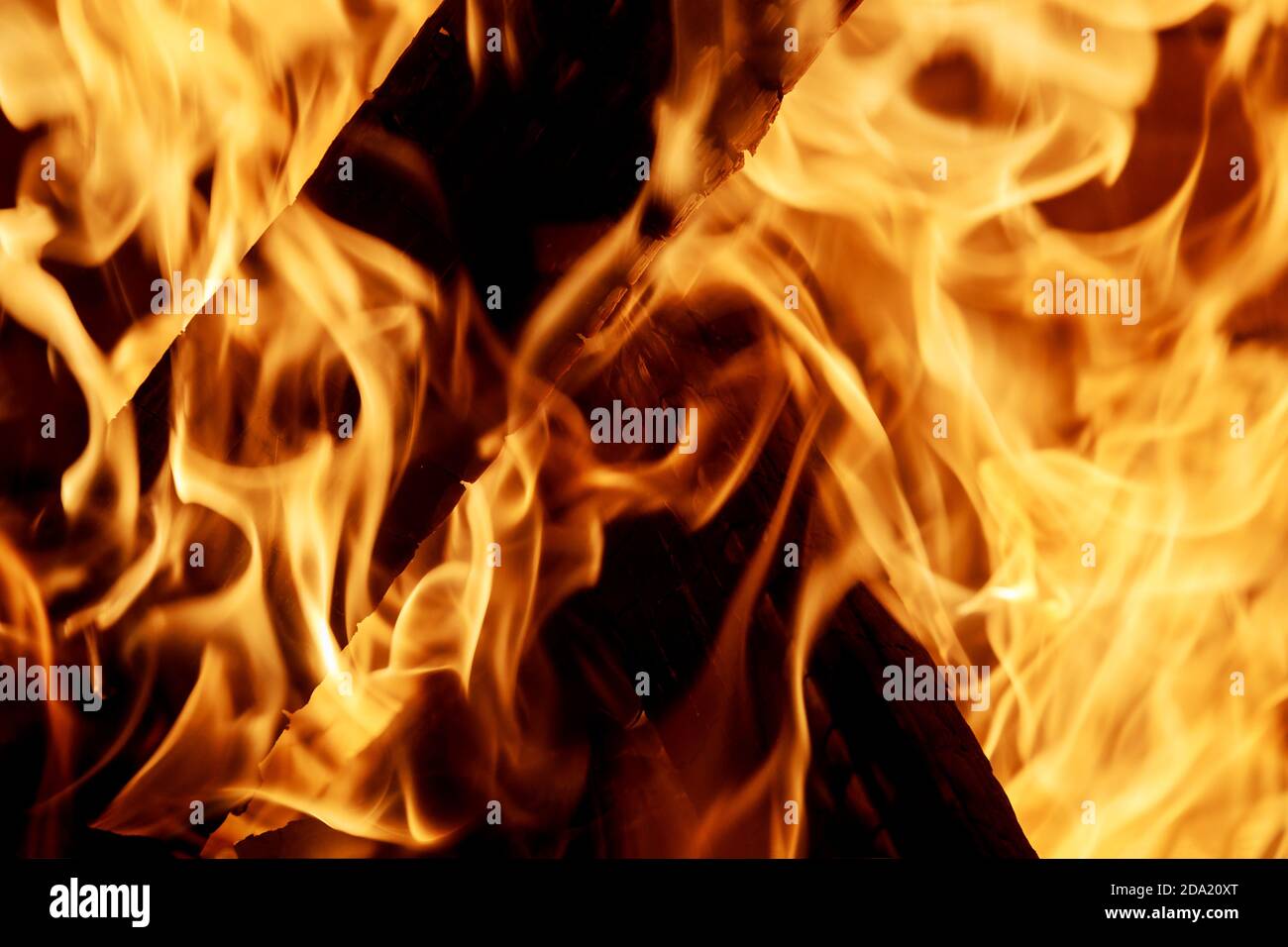Burning fire bonfire of flames burning of wood on fire background Stock ...