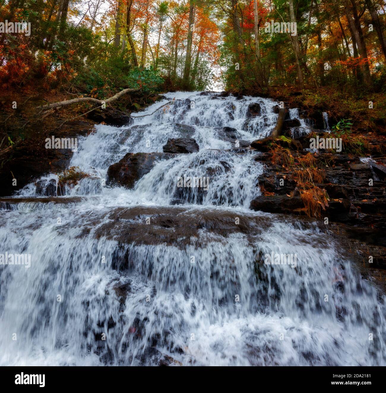 Vogel state park georgia hi-res stock photography and images - Alamy