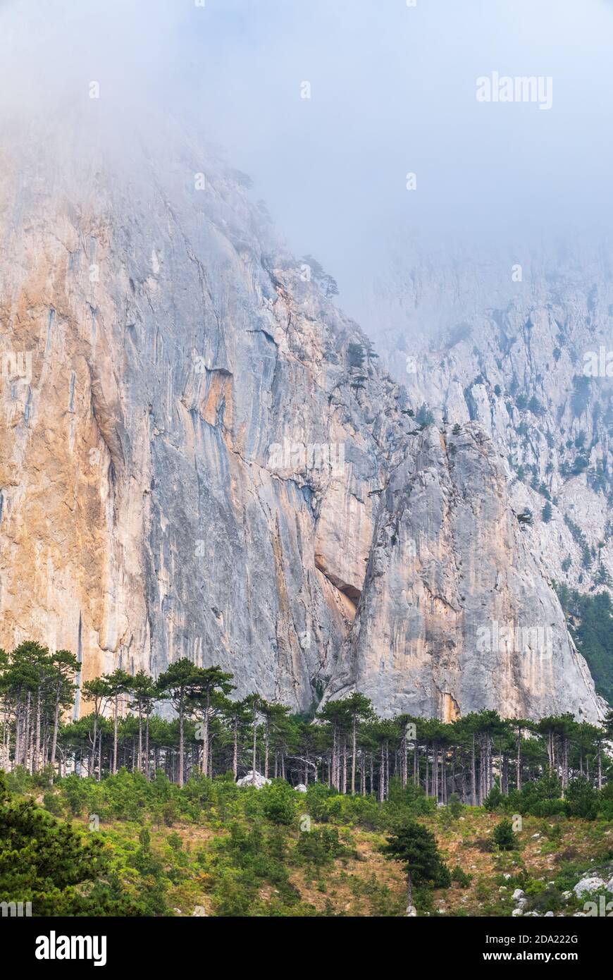 Detail of a steep rocky wall with green fir trees in the mountains ...