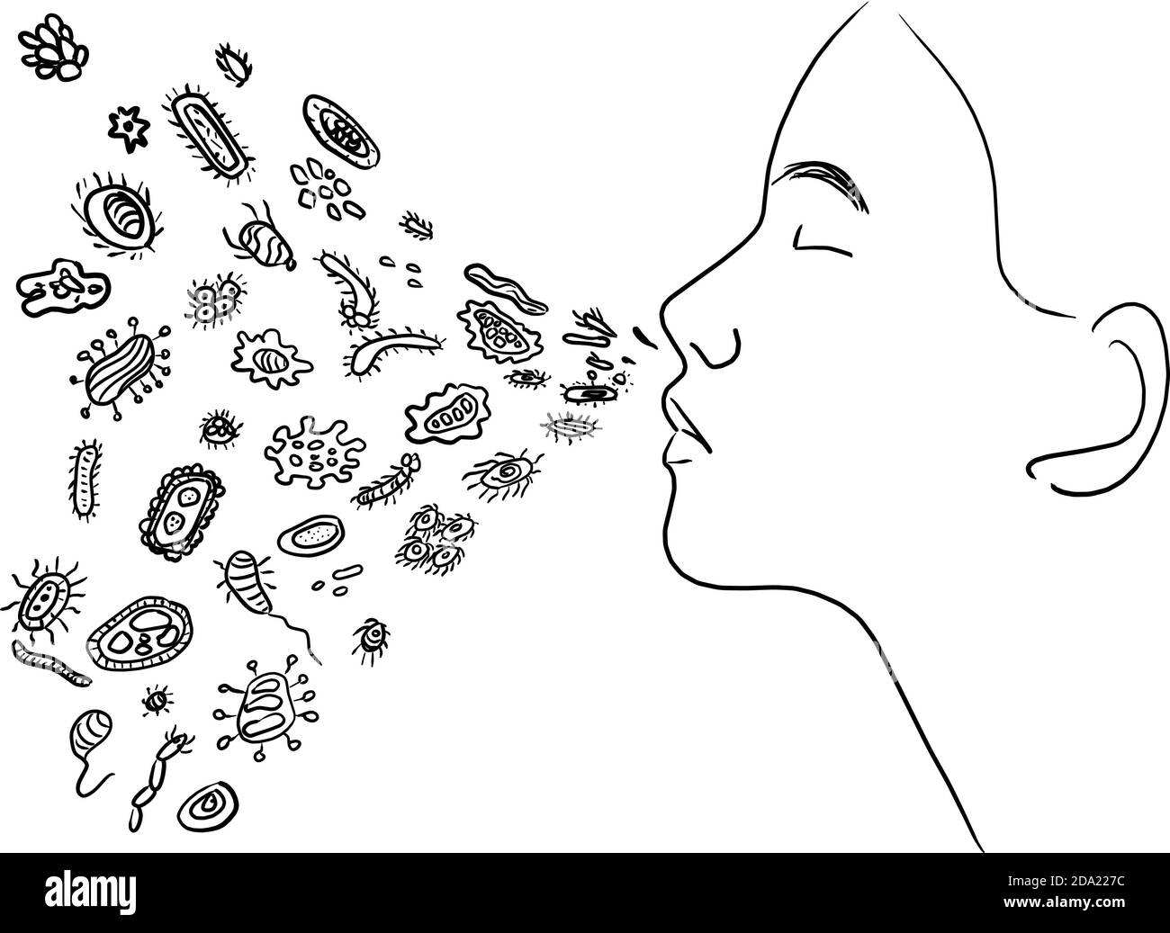 Male germ cell Black and White Stock Photos & Images - Alamy