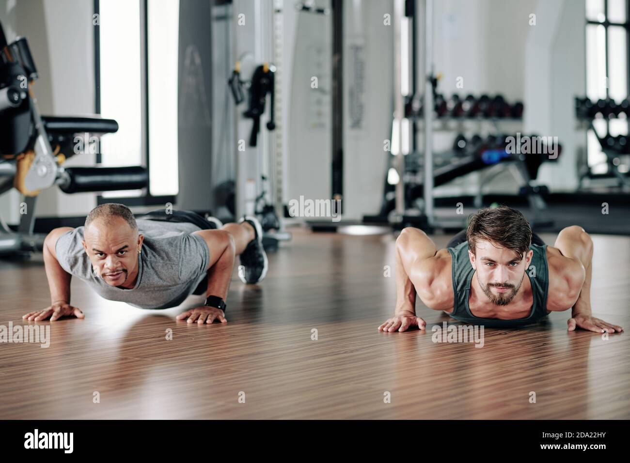 Fit men doing push-ups Stock Photo - Alamy