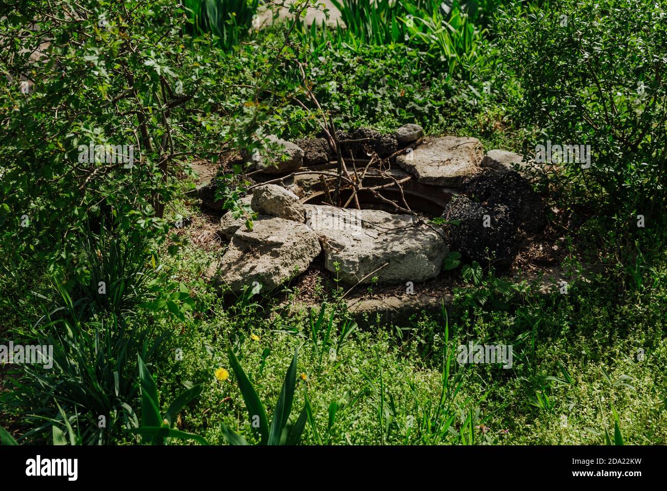 A deep, old, uncovered manhole is dangerous for pedestrians and animals ...