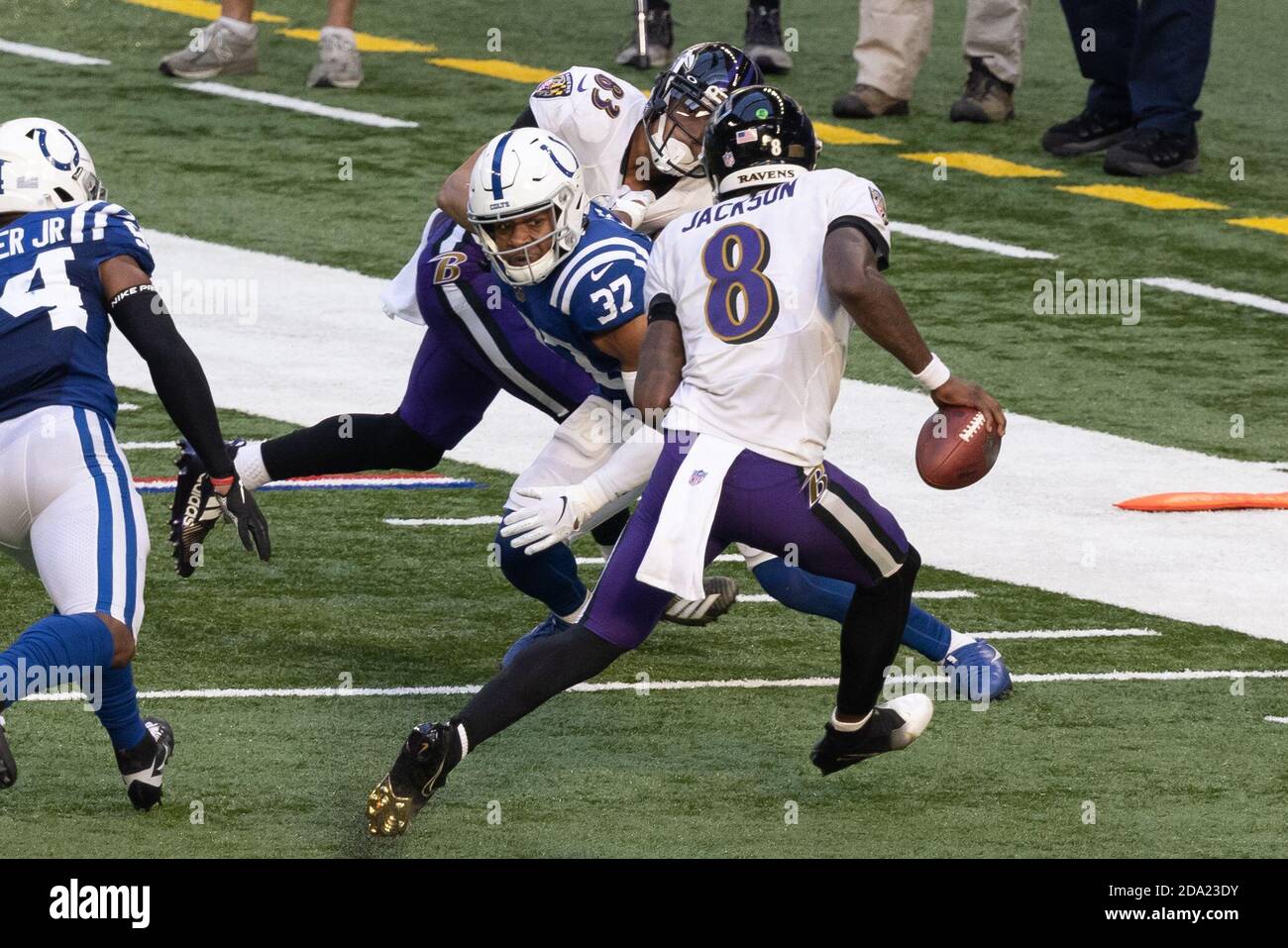 Baltimore colts hi-res stock photography and images - Alamy