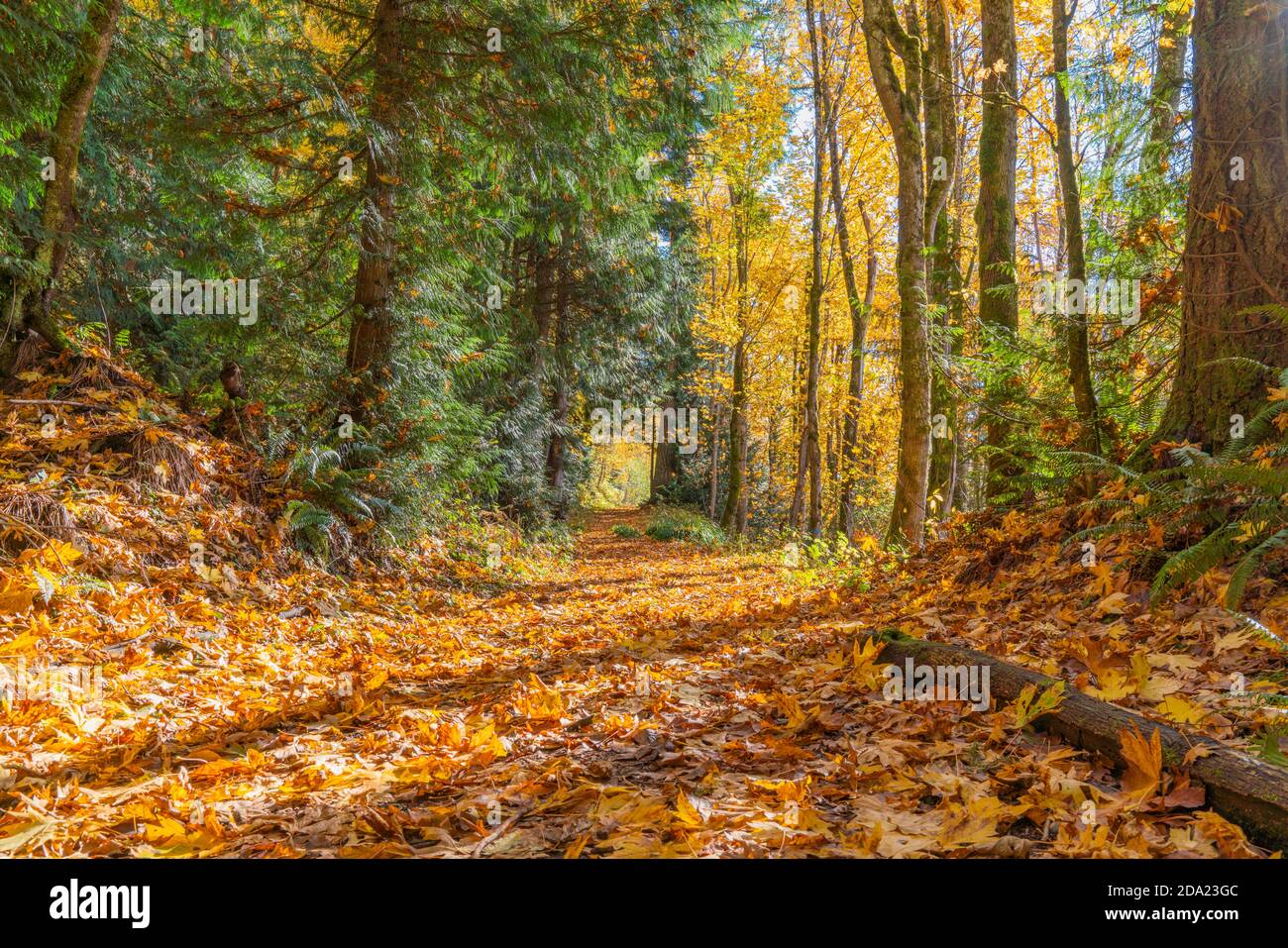 Fall sunshine trails hi-res stock photography and images - Alamy