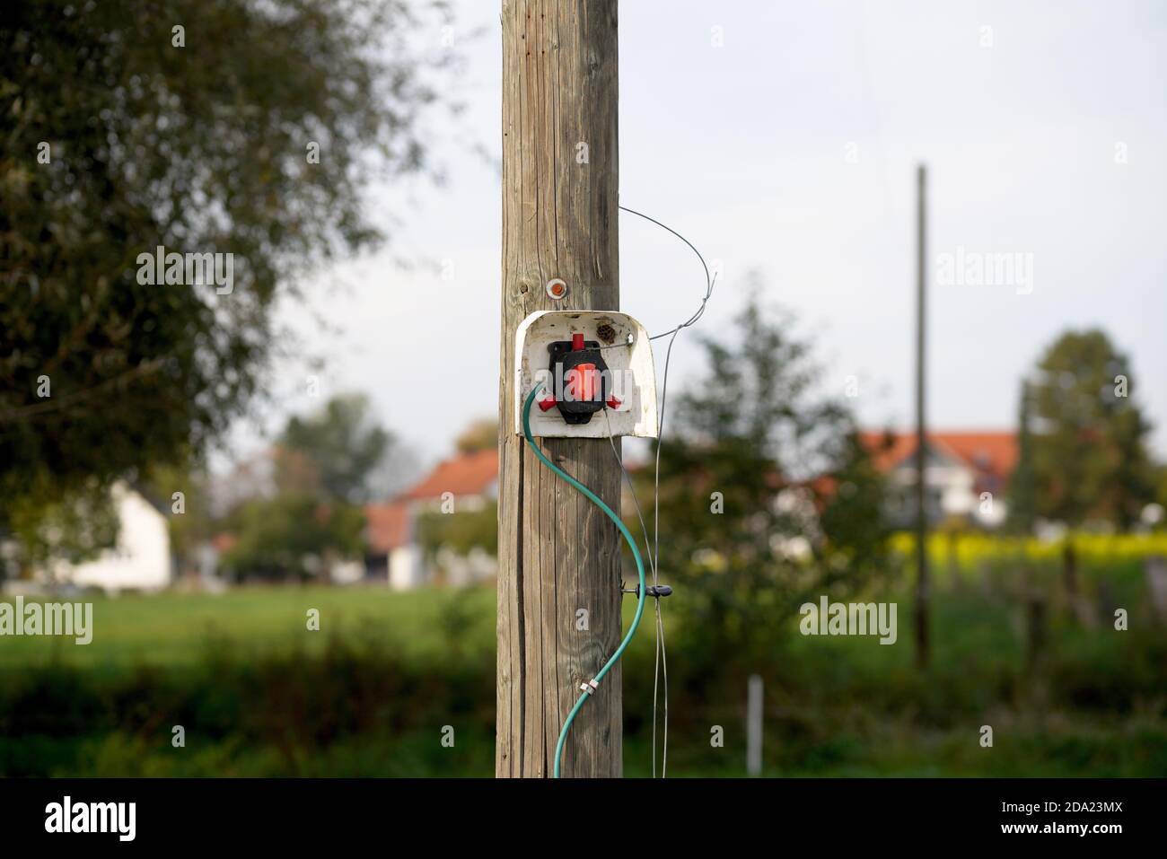 Tree lighting switch hi-res stock photography and images - Alamy