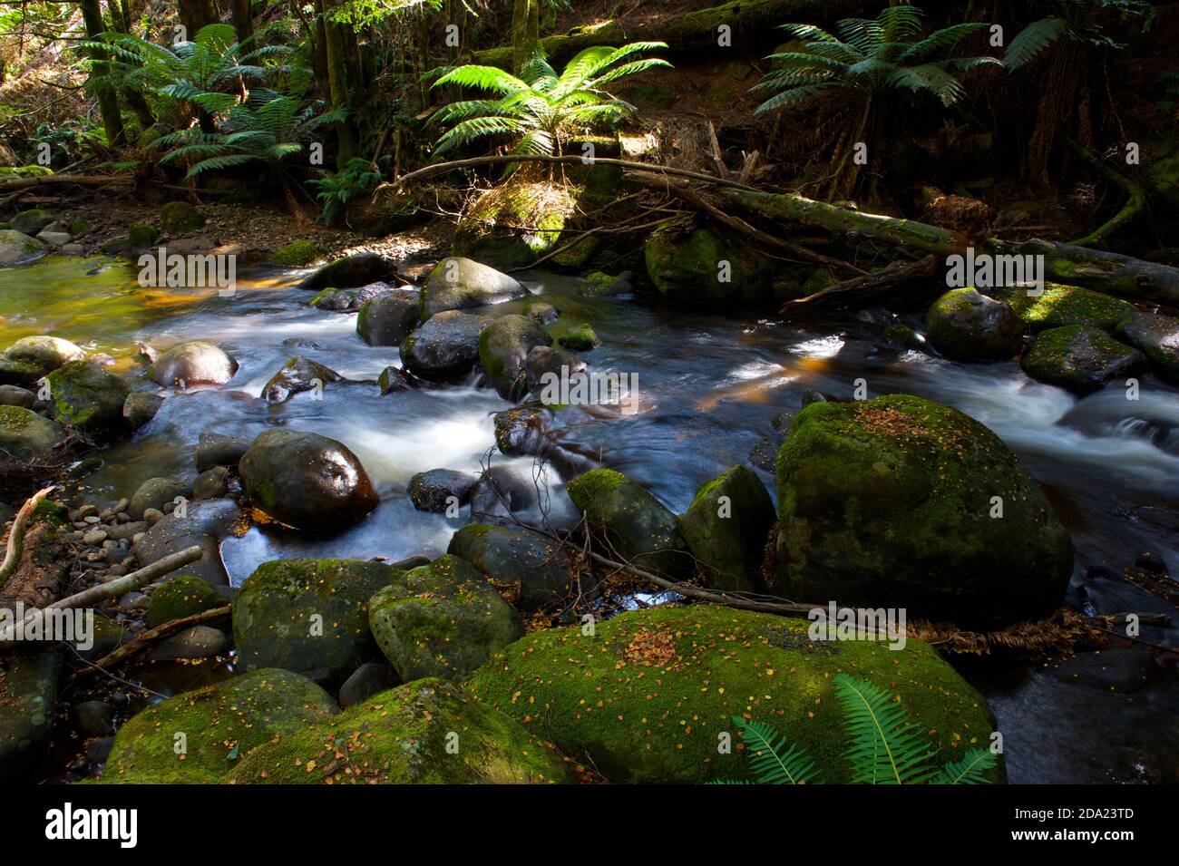 Australian mountain river hi-res stock photography and images - Alamy