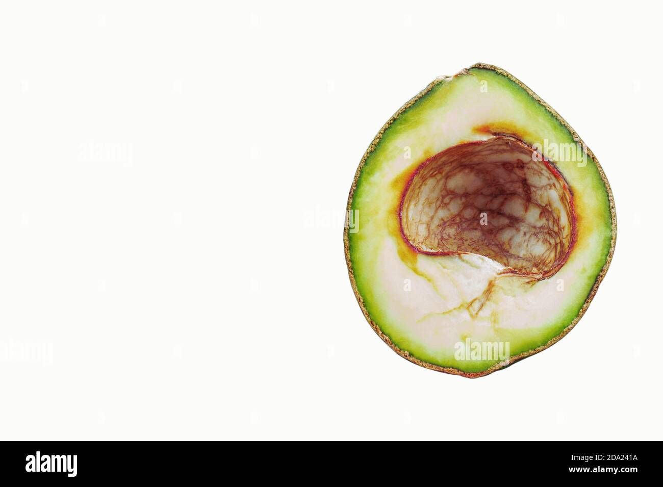 Rotten avocado Cut Out Stock Images & Pictures - Alamy