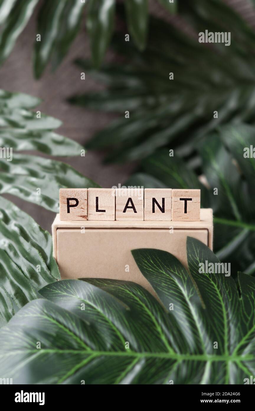 plant lettering made of bamboo eco material letters on large tropical ...