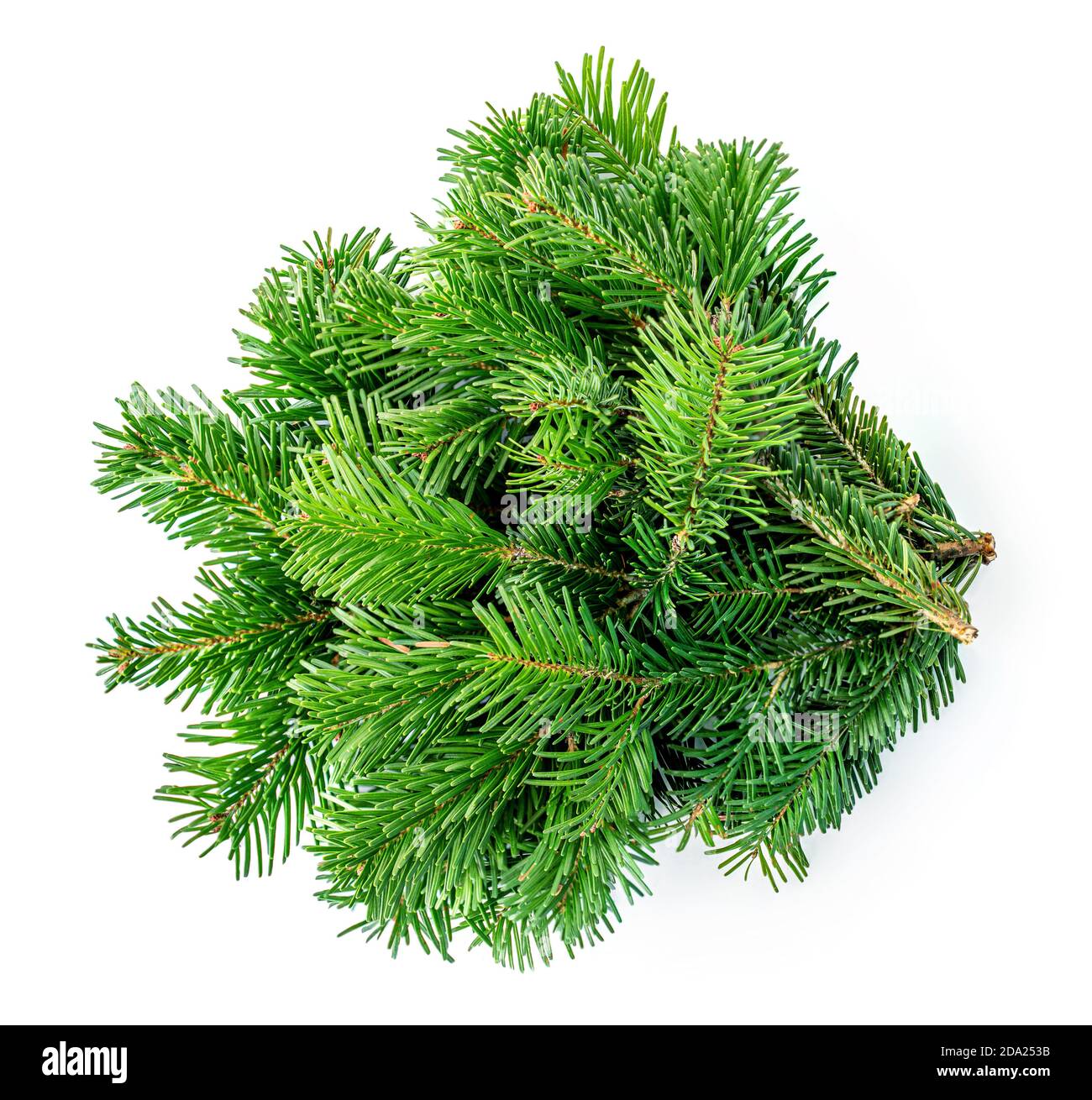 Abstract spruce tree Cut Out Stock Images & Pictures - Alamy