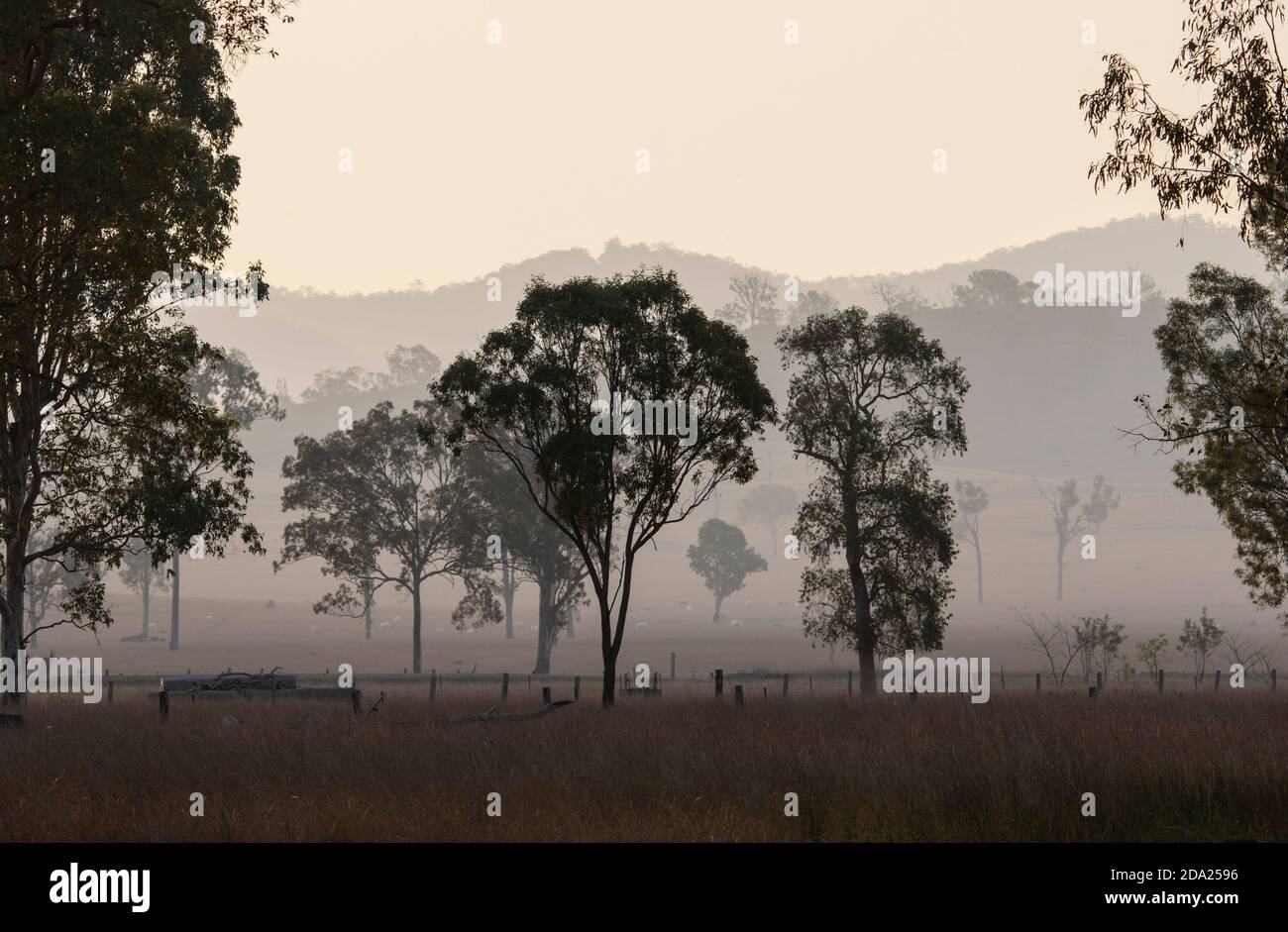 Back burning hi-res stock photography and images - Alamy