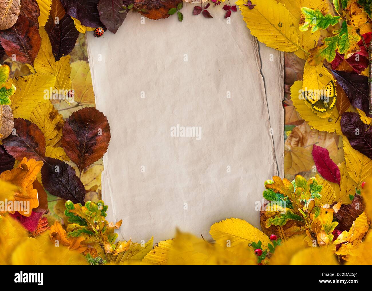 various background images Stock Photo - Alamy