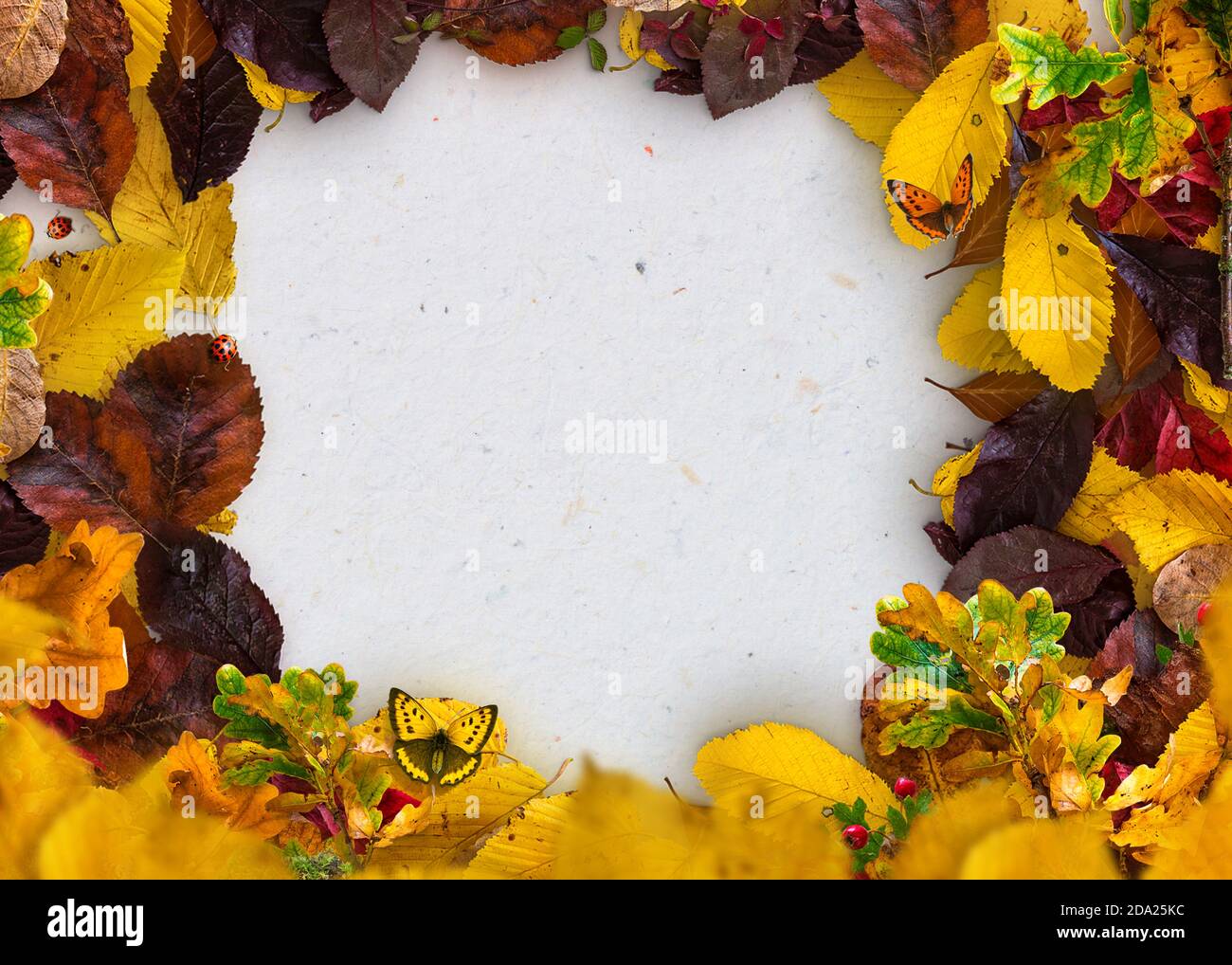 various background images Stock Photo - Alamy