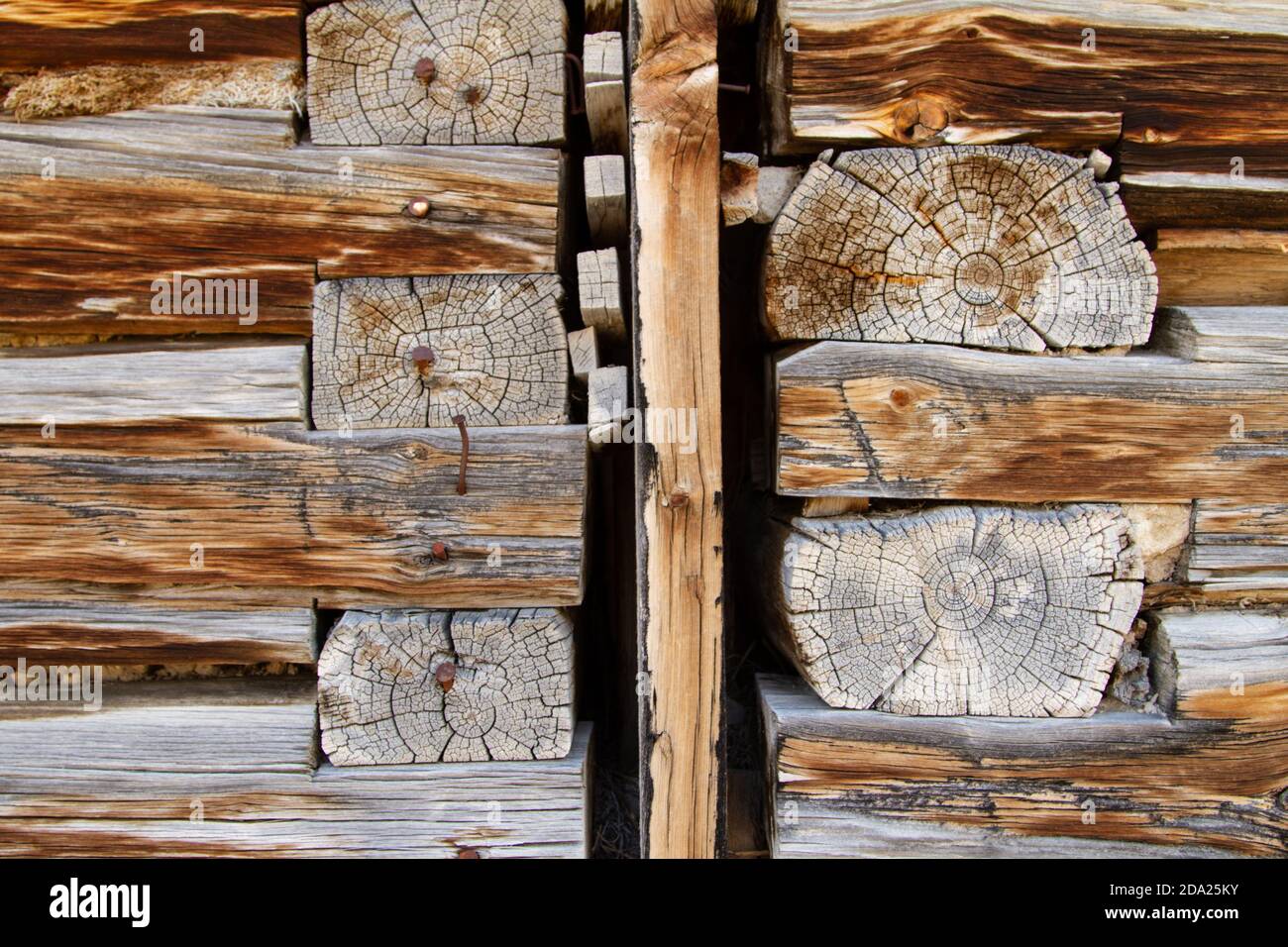 Dovetail notch in an abandoned log cabin in the ghost town of Bannack ...