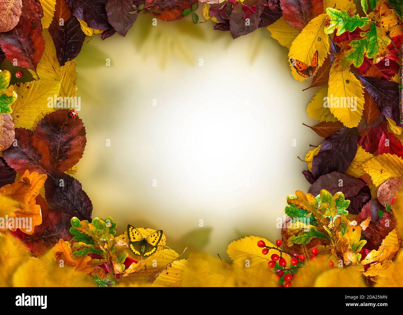 various background images Stock Photo - Alamy