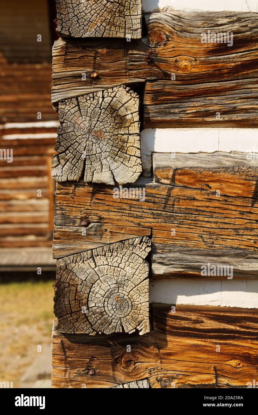Dovetail notch in an abandoned log cabin in the ghost town of Bannack ...