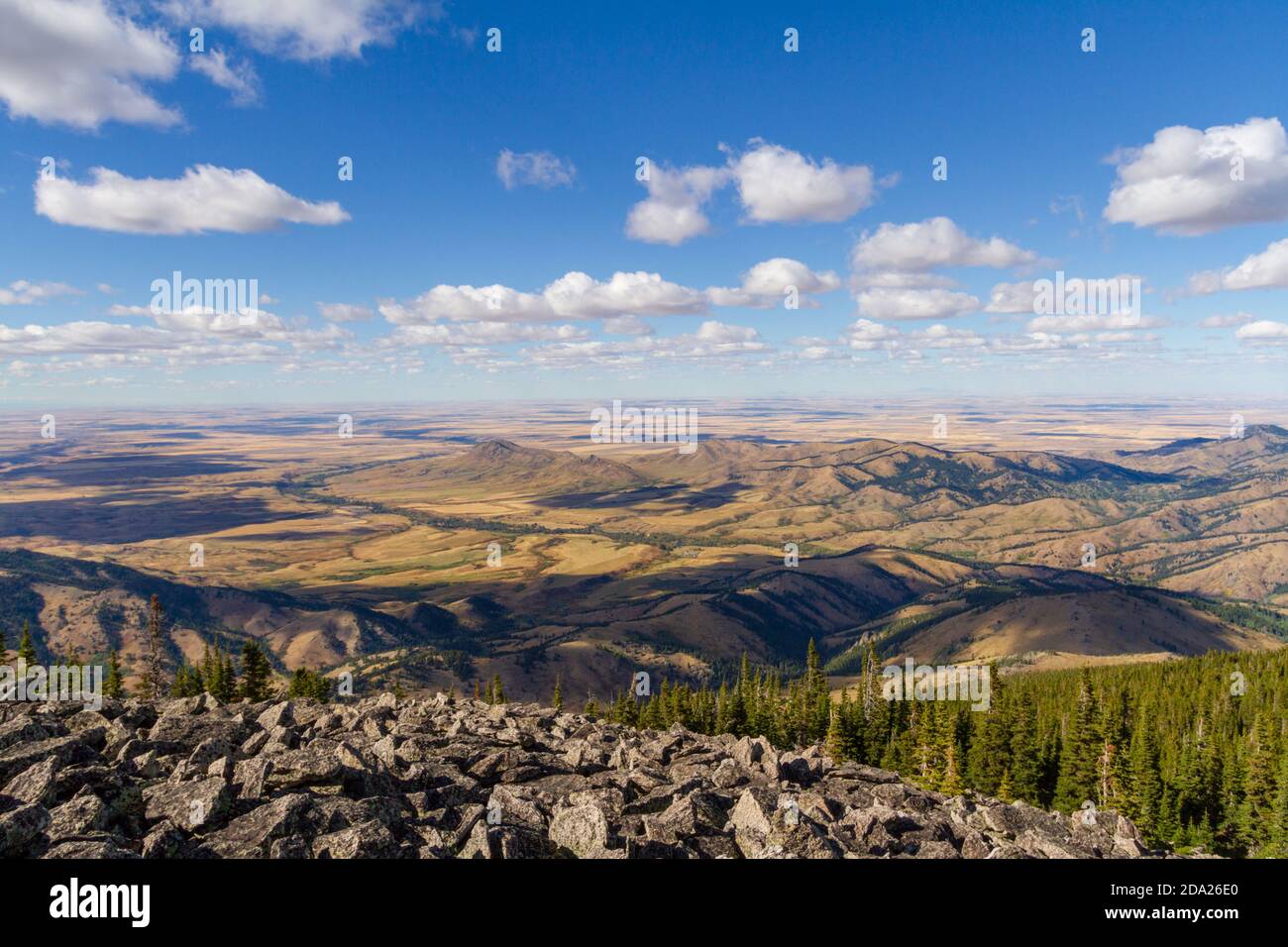 Highwood hi-res stock photography and images - Alamy