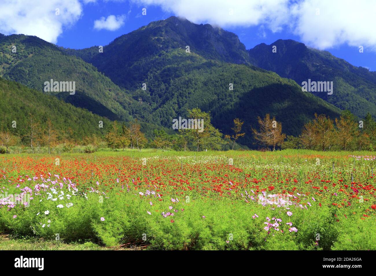 beauty of Taichung Taiwan Stock Photo - Alamy