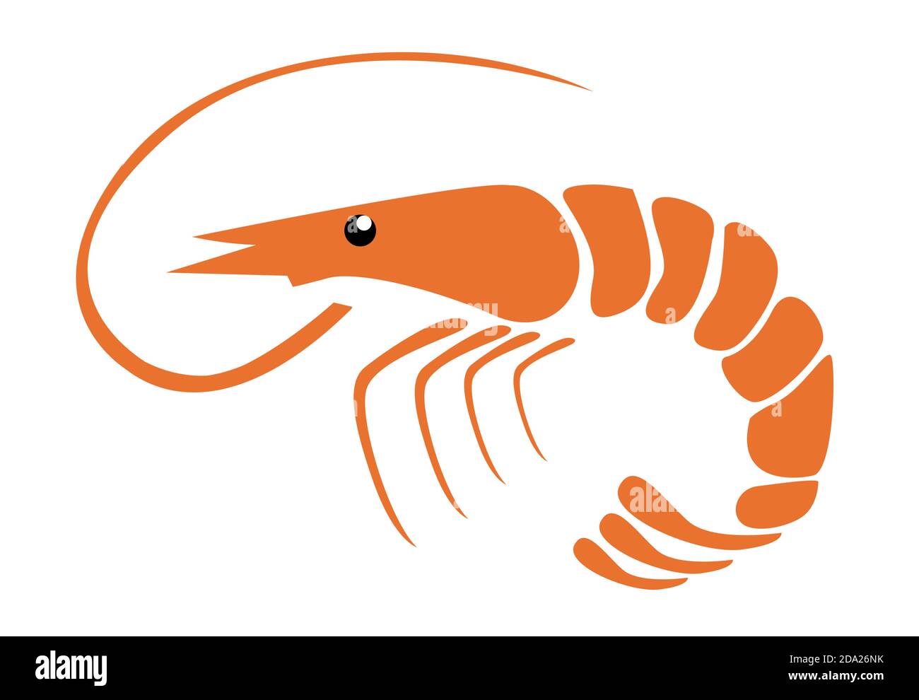 Shrimp vector illustration on white Stock Vector Image & Art - Alamy