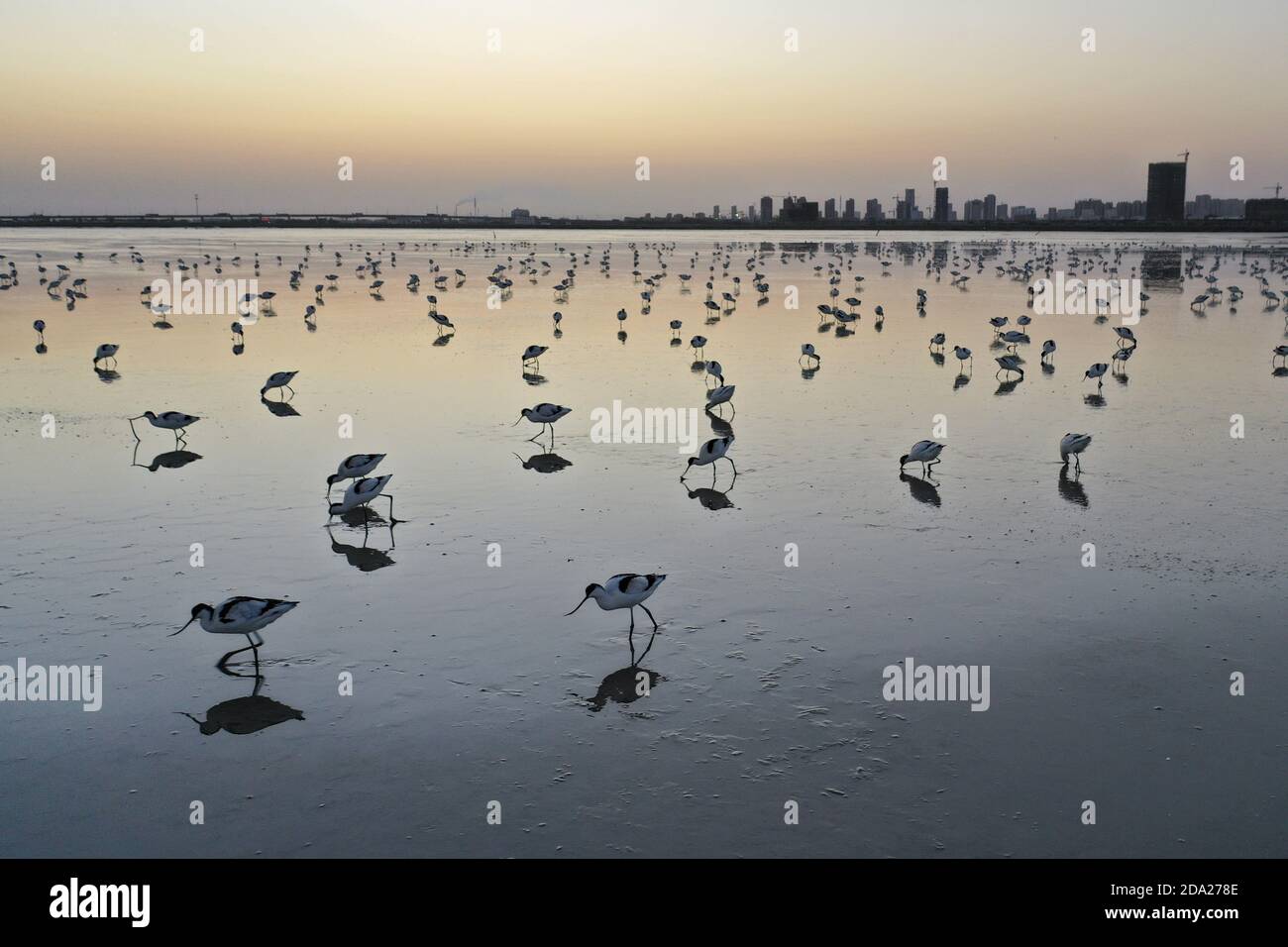 Haizhou bay hi-res stock photography and images - Alamy