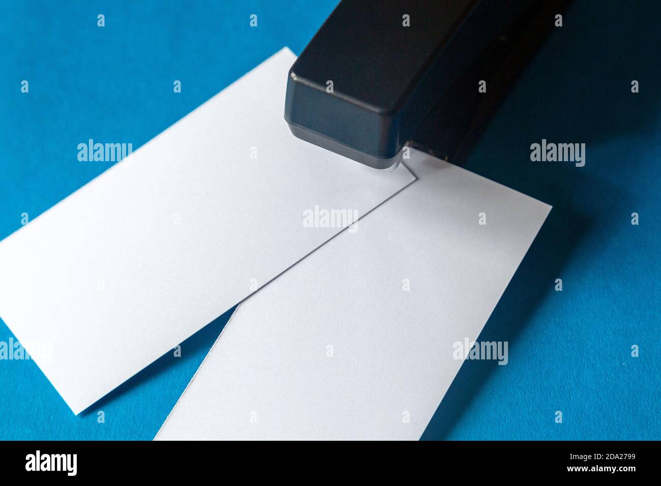 A stapler connects two business cards. Blank paper Stock Photo - Alamy