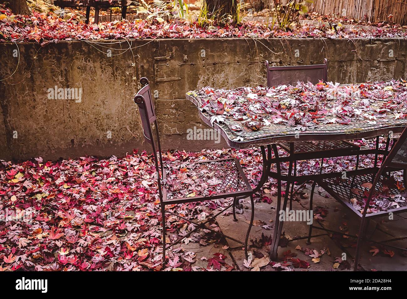Autumn abandoned vintage garden terrace Stock Photo - Alamy