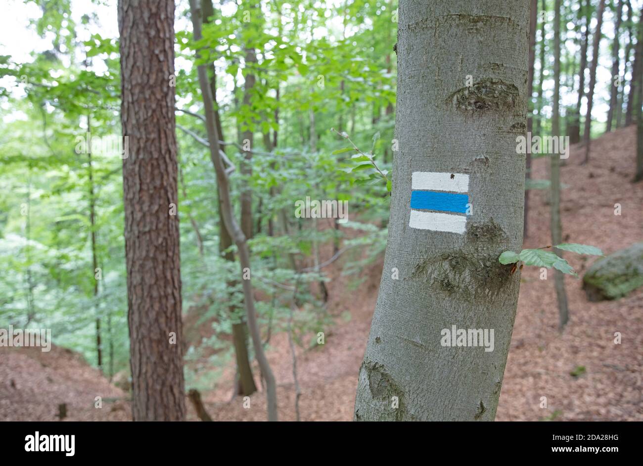 Marking the tourist route painted on the tree - Travel route sign Stock ...