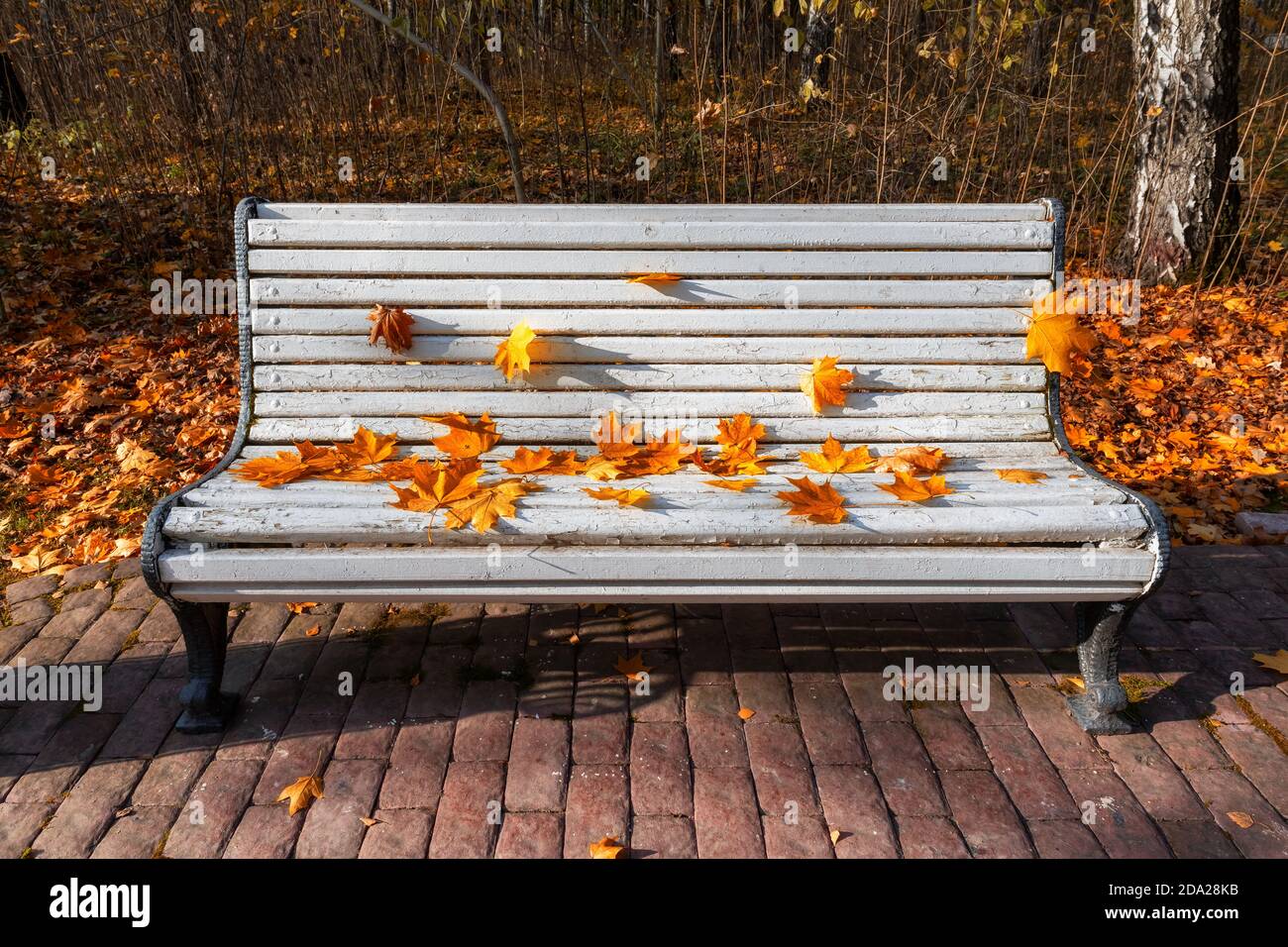 Autumn leaves with park bench hi-res stock photography and images - Alamy