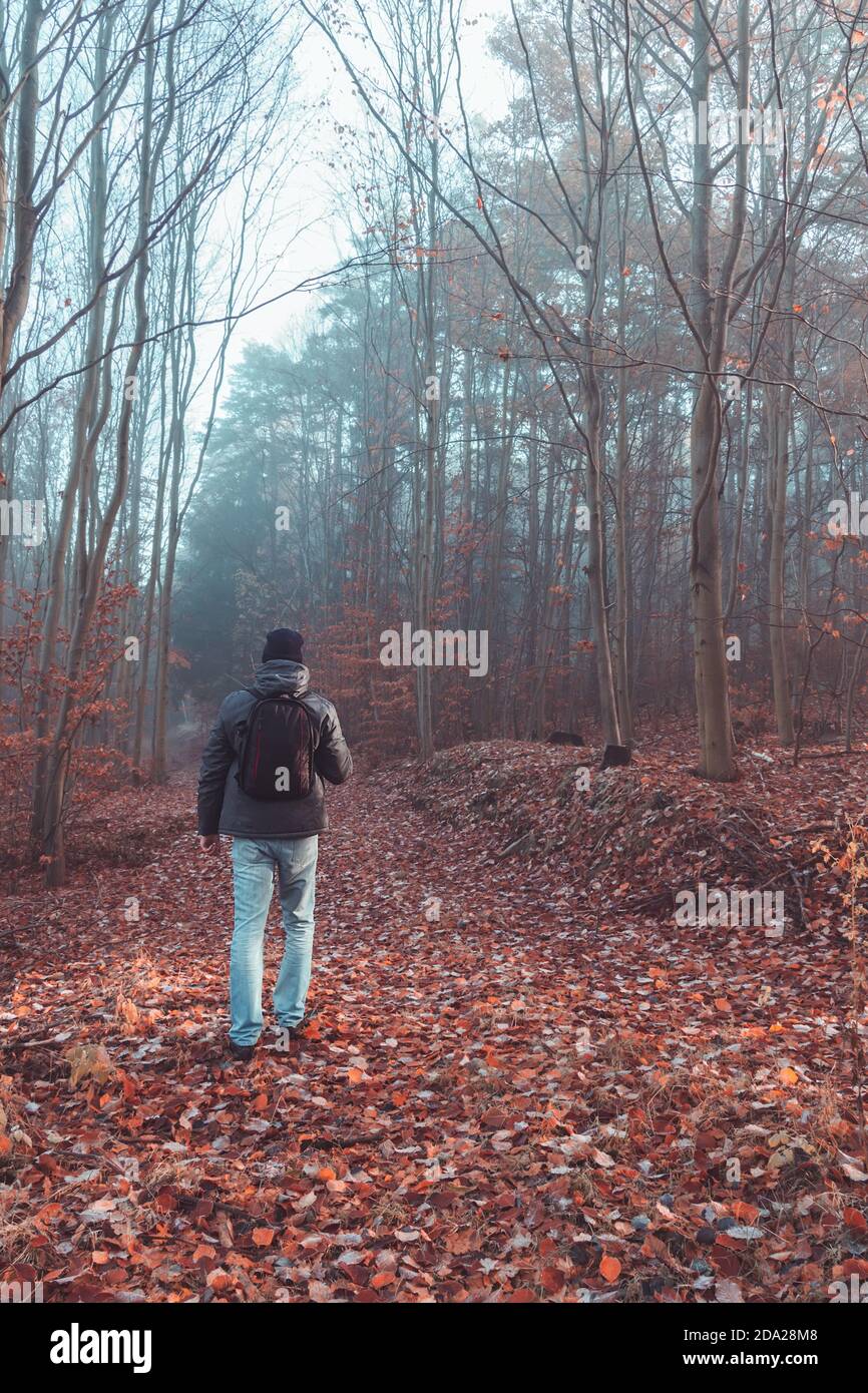 Young man walking on autumn foliage leave path in freeze misty morning ...