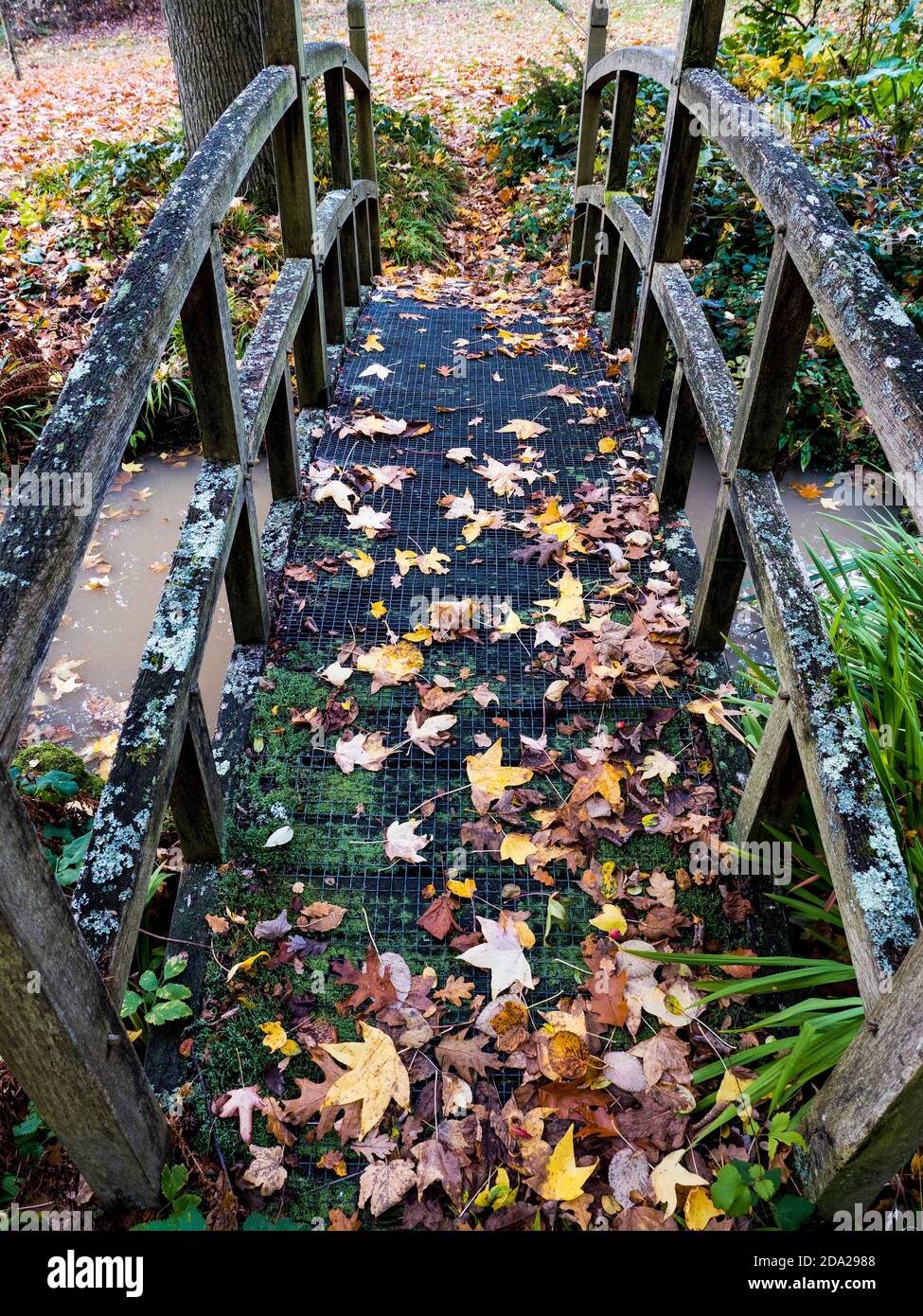 Garden Bridge, Autumn Leaves, Englefield House Gardens, Englefield ...