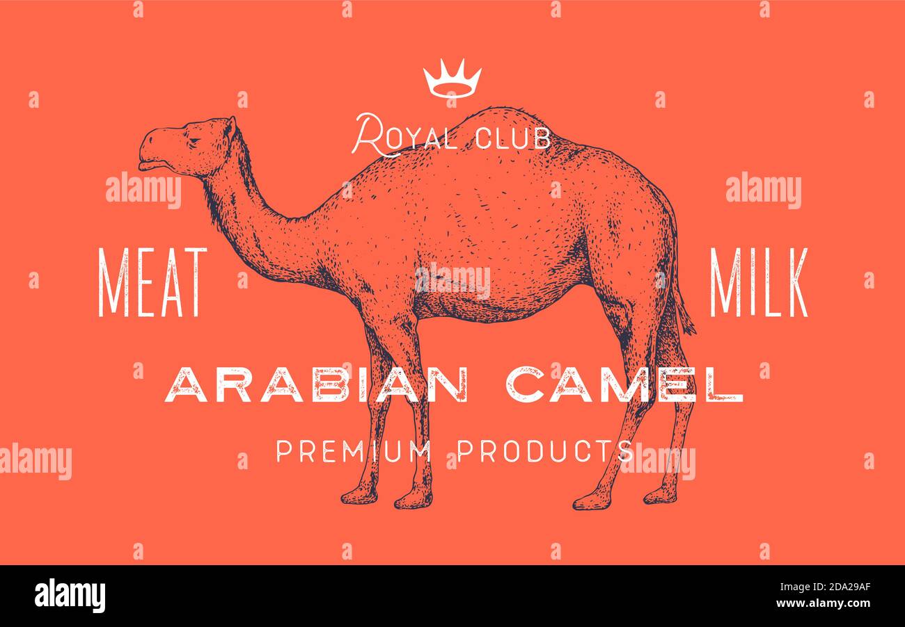 Camel packaging Stock Vector Images - Alamy