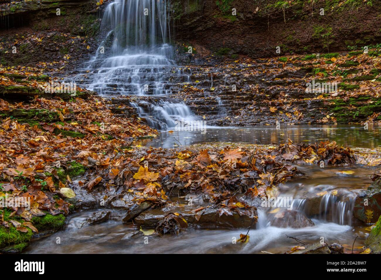 Beautiful cascade waterfall in autumn forest, silky smooth stream Stock ...