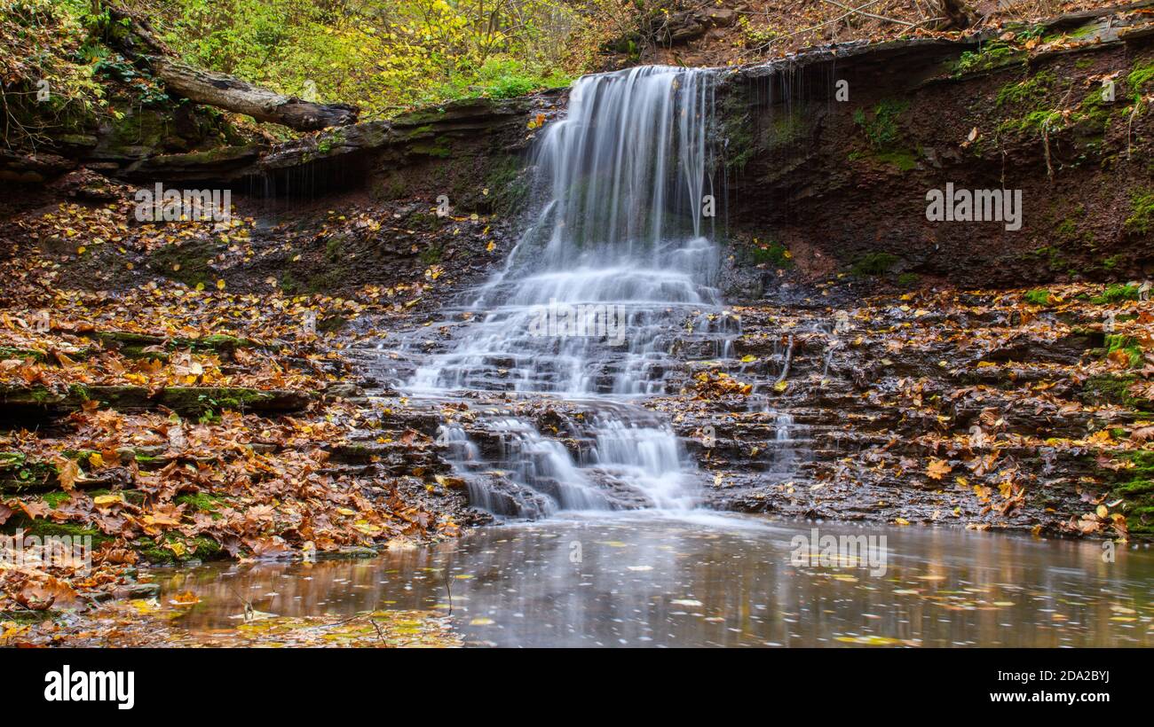Beautiful cascade waterfall in autumn forest, silky smooth stream Stock ...