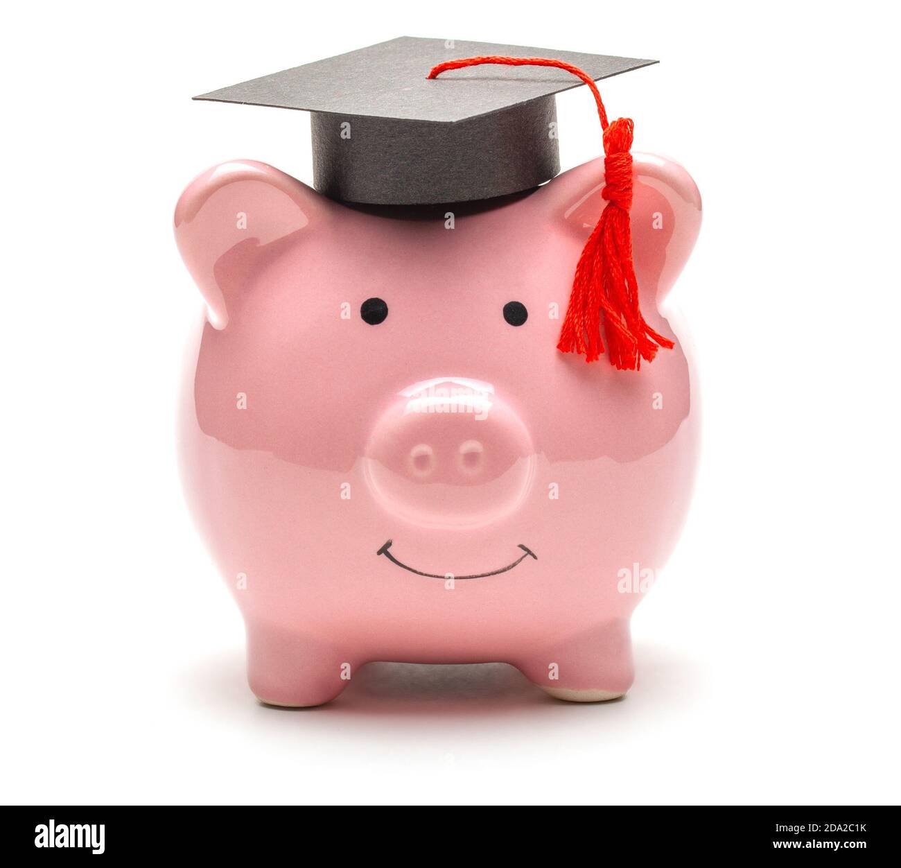 Graduation hat pig hi-res stock photography and images - Alamy