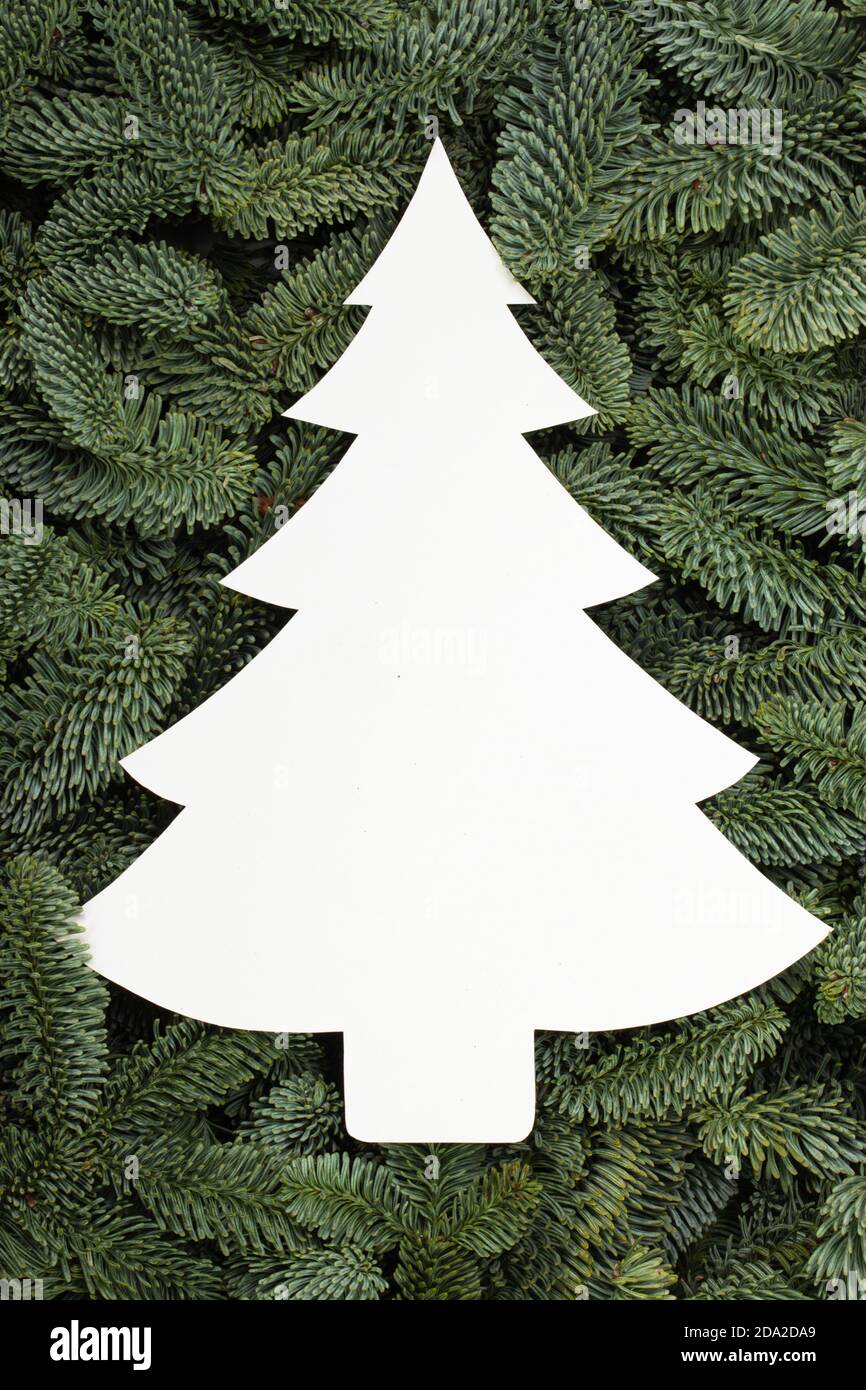White Christmas tree shape card over Noble fir tree branch background ...