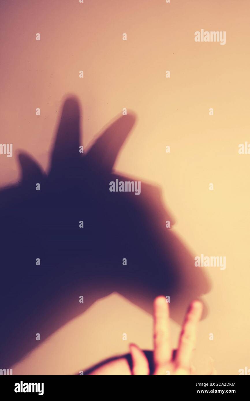 Shadow of goat on the wall hi-res stock photography and images - Alamy