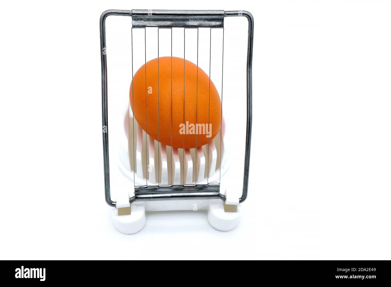 Grinding eggs for cooking. Egg in shell and cutter. White background ...