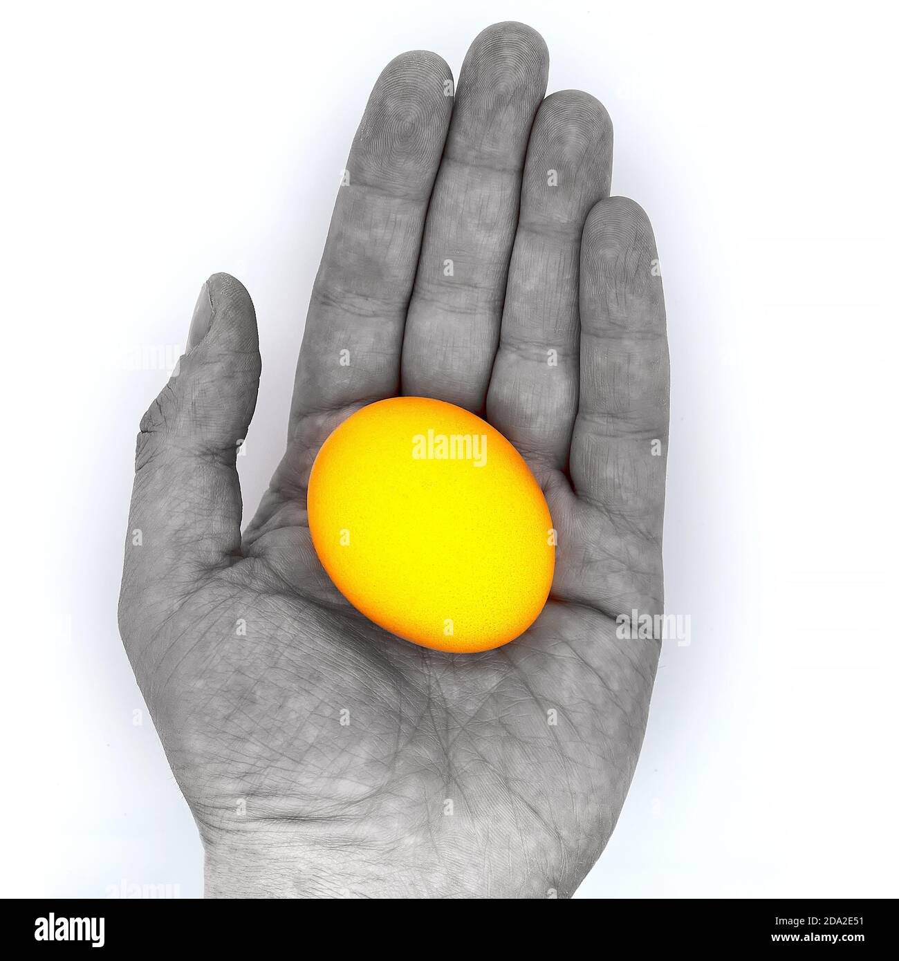 Golden egg as a symbol of new life and success. Concept is a good start ...