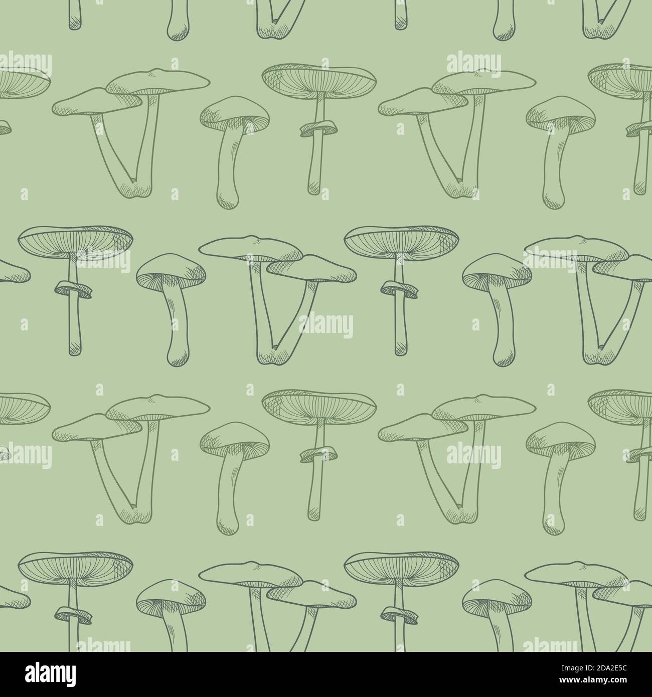 Parasol mushroom mushrooms Stock Vector Images - Alamy