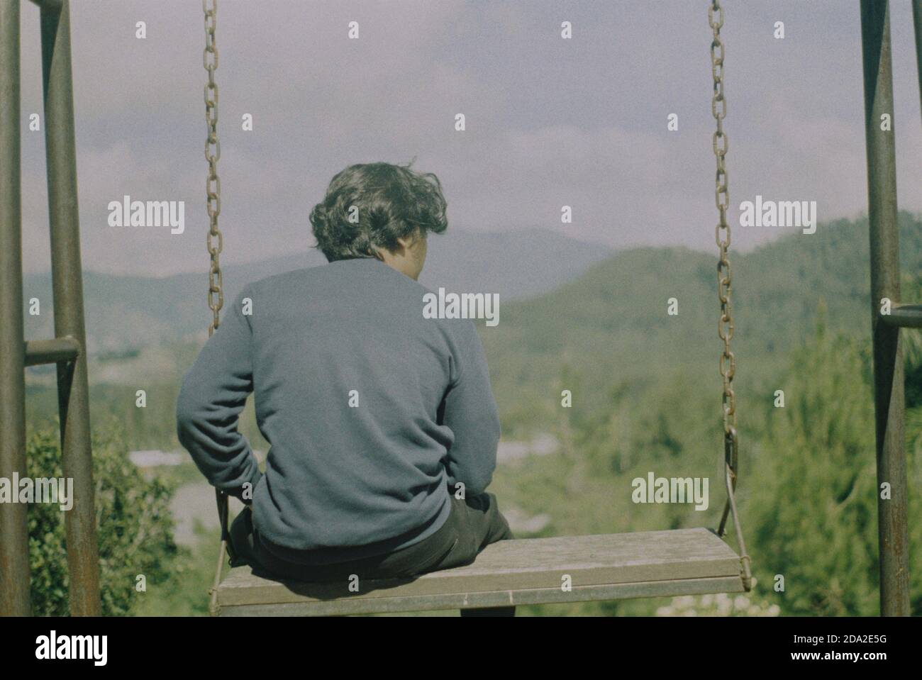 Man on a swing overlooking a forest Stock Photo - Alamy