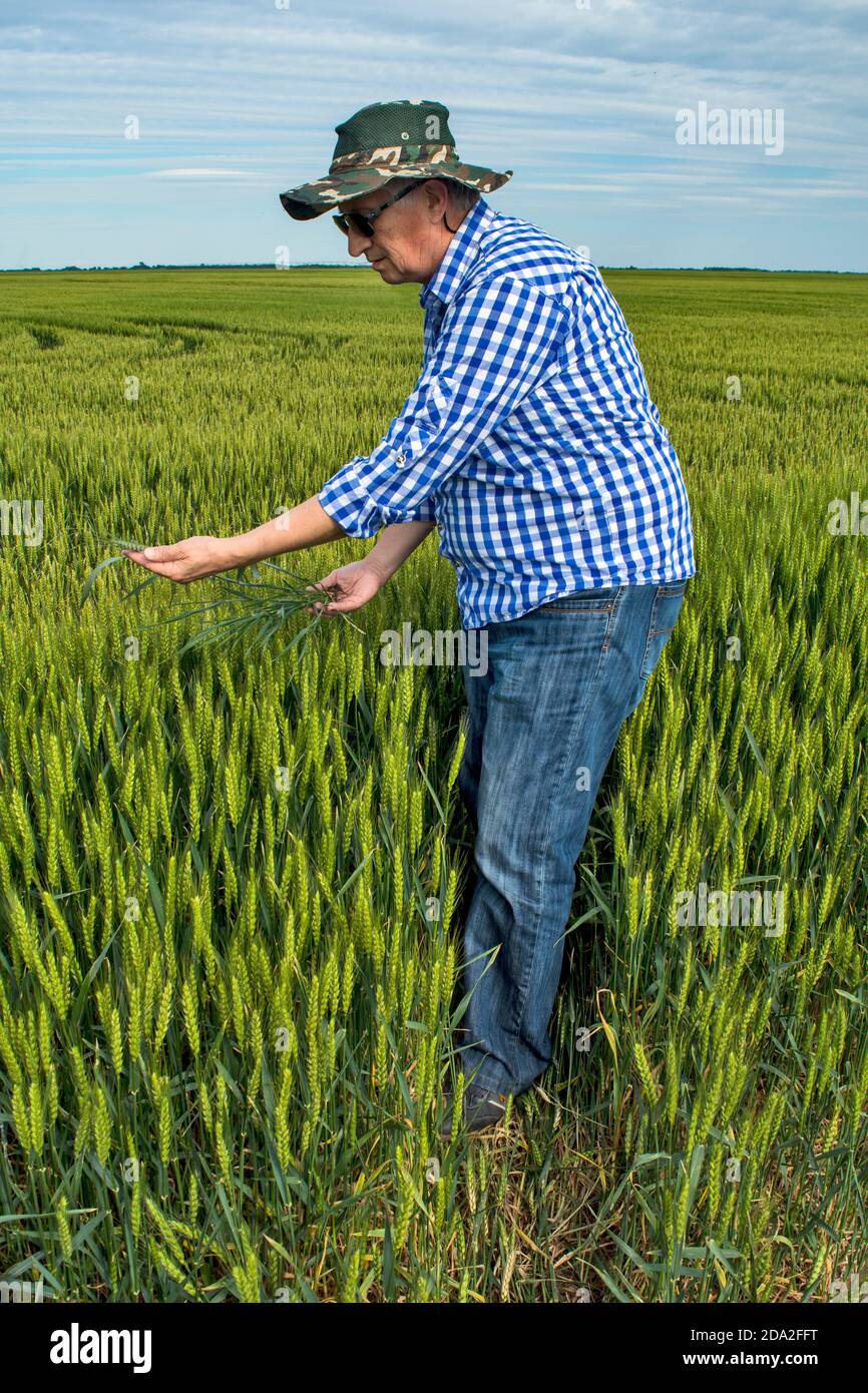 Industry agronomy hi-res stock photography and images - Alamy