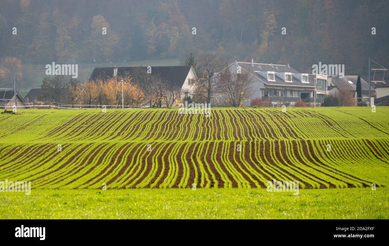 Calm autumnal scene in the countryside Stock Photo - Alamy