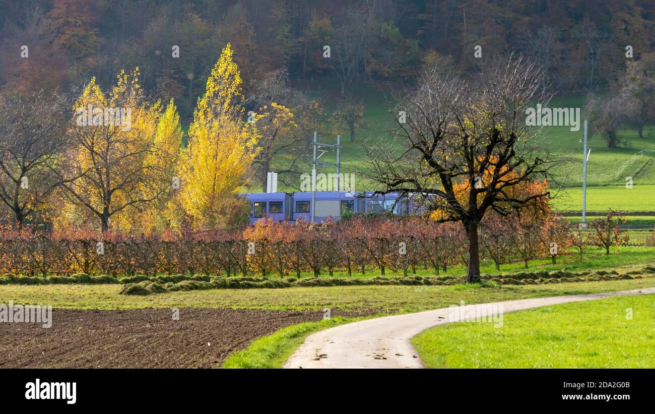 Autumn in the countryside Stock Photo - Alamy