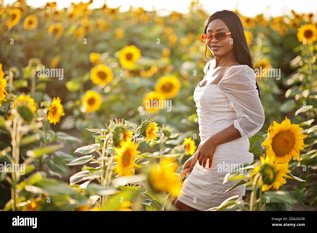 Pretty young black woman wear summer dress pose in a sunflower field Stock Photo - Alamy