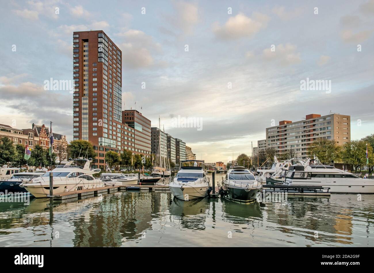 Rotterdam marina hi-res stock photography and images - Alamy