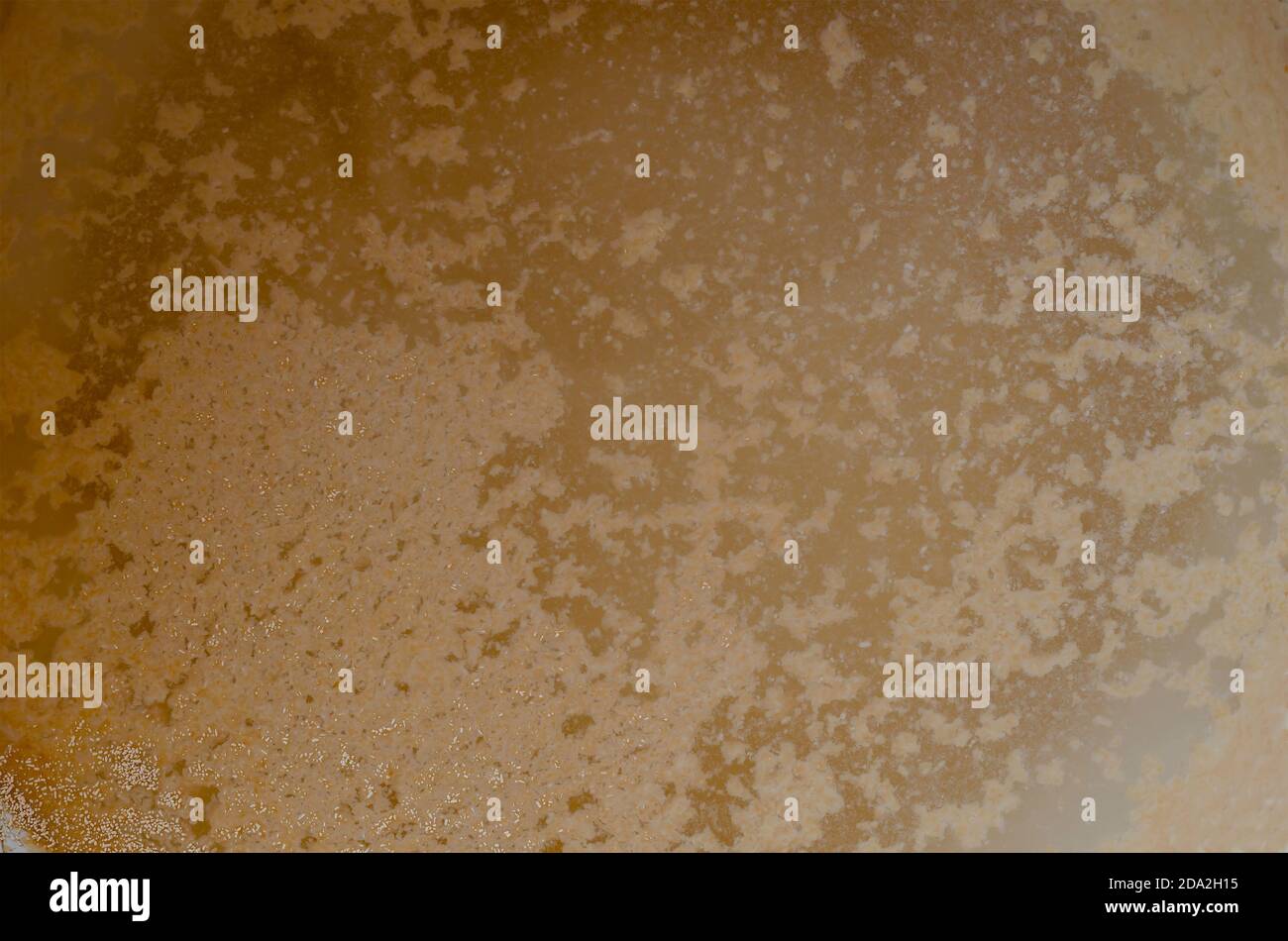 Yeast ferment texture for yeast dough. Ingredients for homemade pizza ...